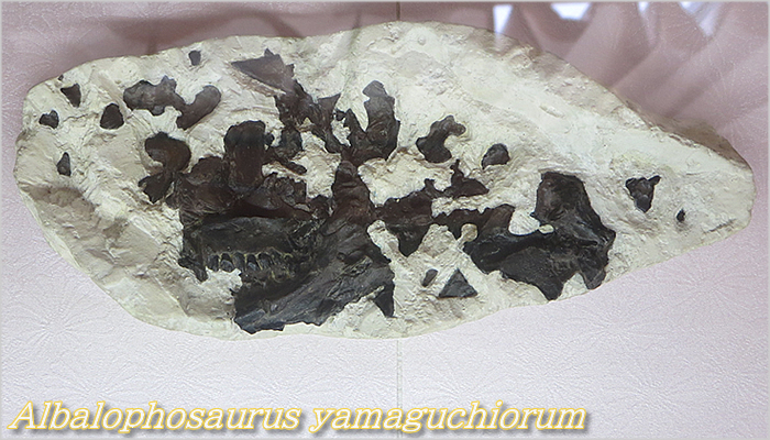 アルバロフォサウルス、白い山の白い石から見つかった小型の植物食恐竜