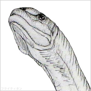 フクイティタン、体長10m、意外に小さい福井の竜脚類