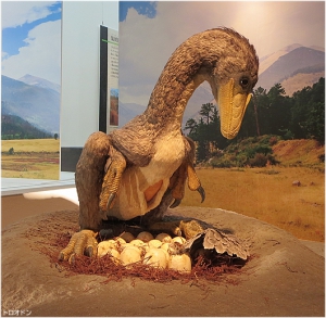 トロオドン/Troodo/、最も賢い恐竜、旧ステノニコサウルスの巣と卵